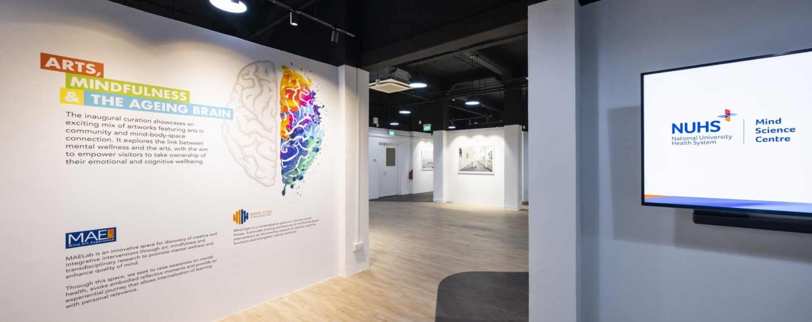 MAELab Arts, Mindfulness & the Ageing Brain | Mind Science Centre