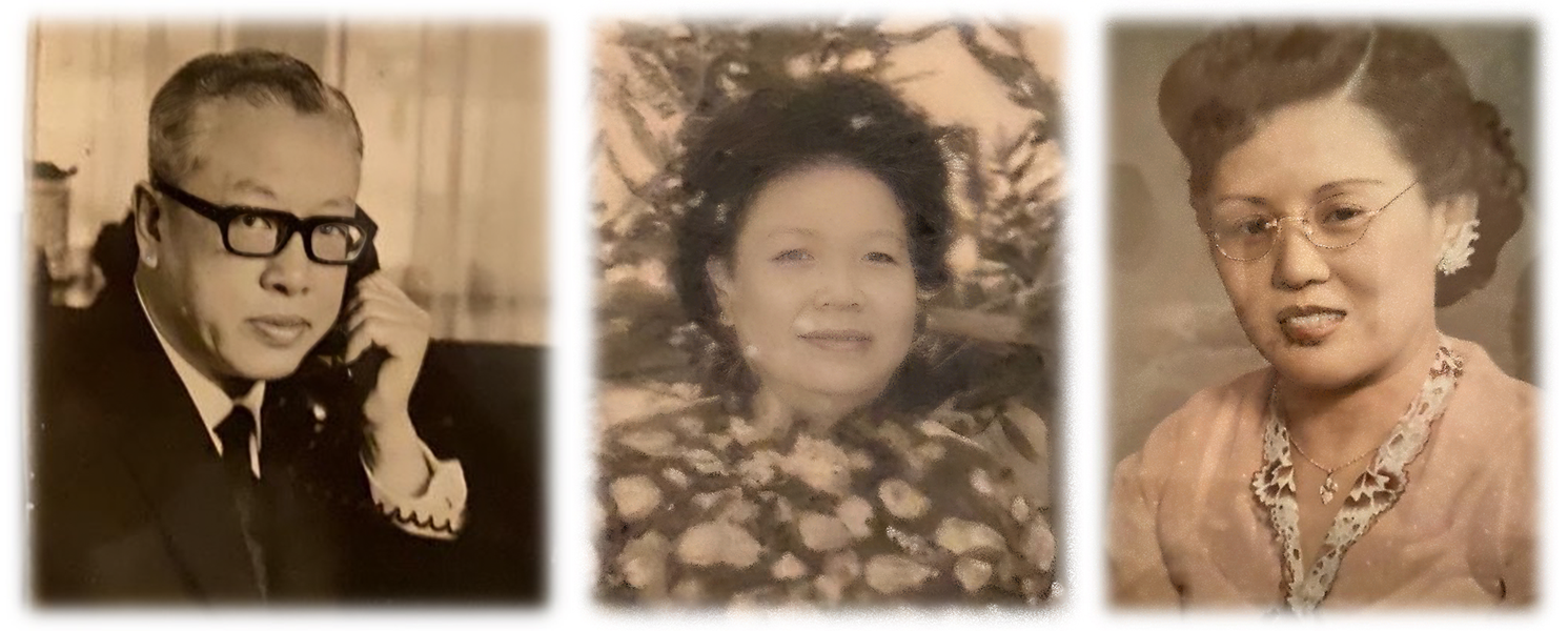 About MSC | Mind Science Centre