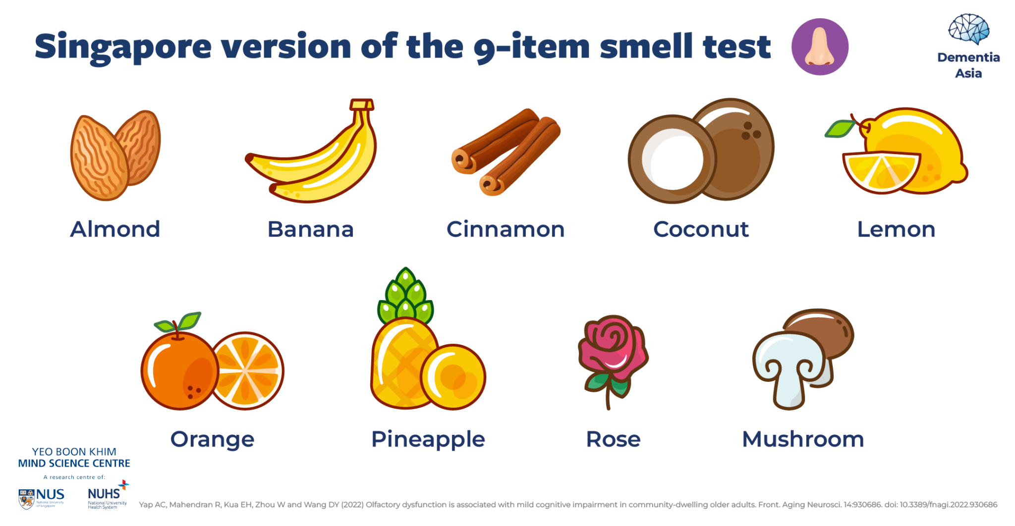 Olfactory Dysfunction linked with Mild Cognitive Impairment